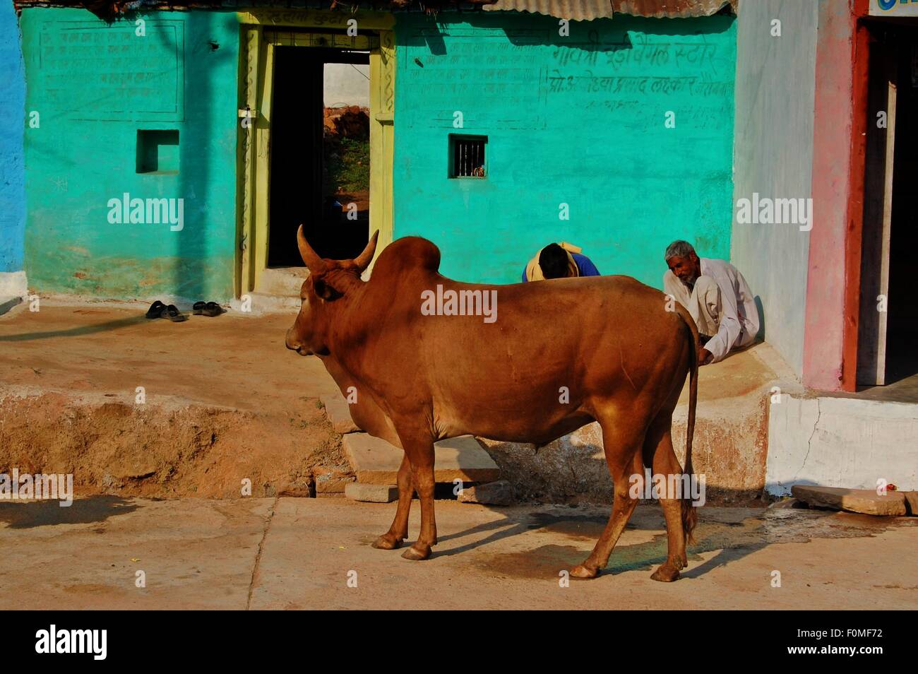 Sitting bull indian hi-res stock photography and images - Alamy