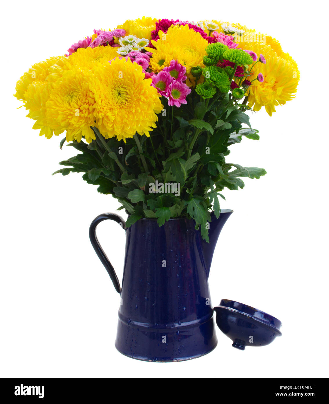 Mum flowers Cut Out Stock Images & Pictures - Alamy