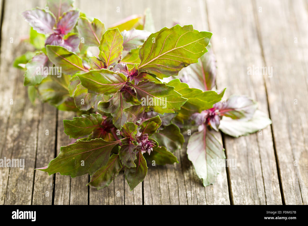 bunch of basil on old wooden table Stock Photo - Alamy