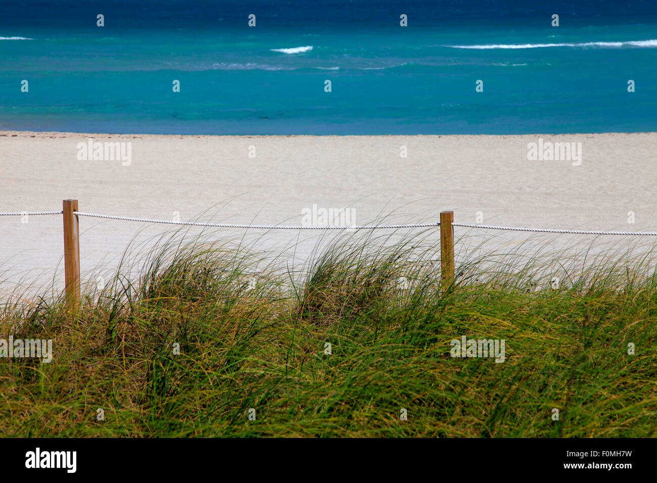 A photography of sunny beach in Miami Stock Photo - Alamy