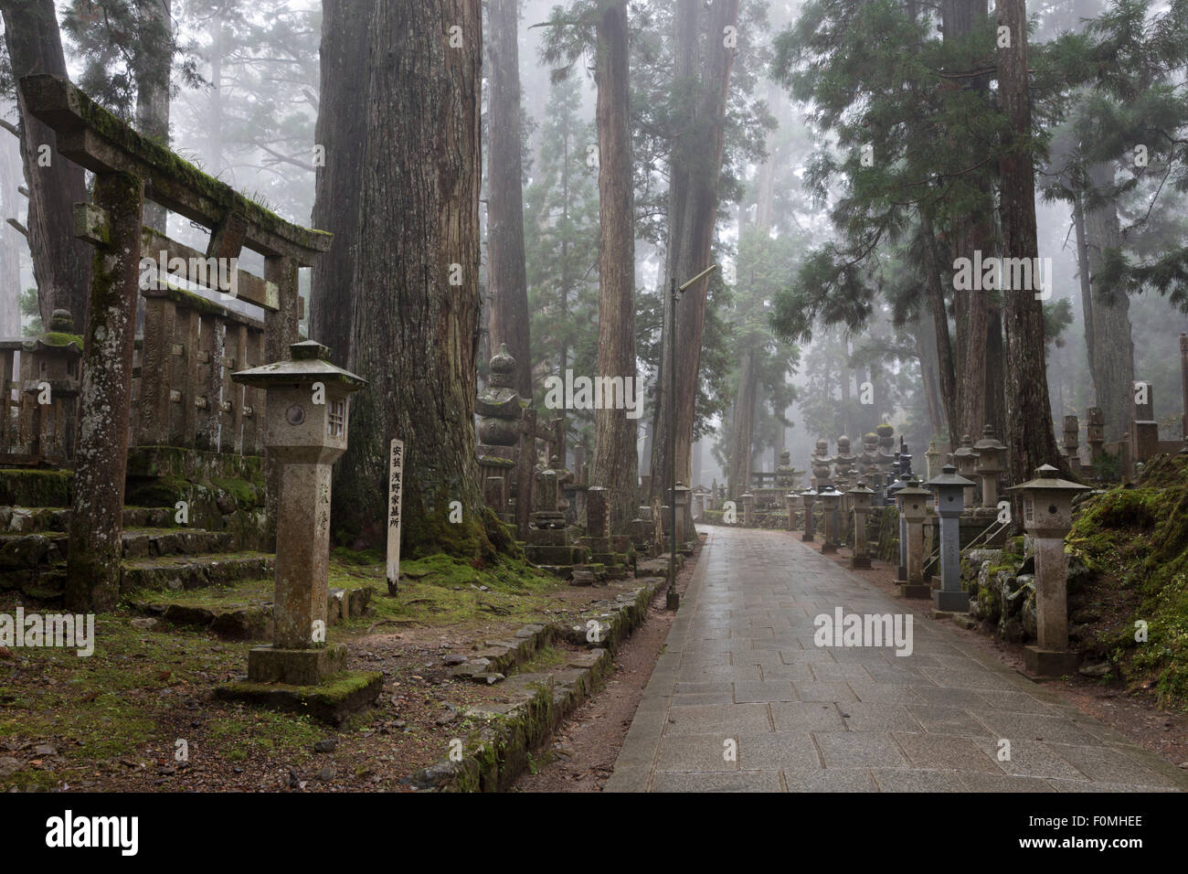 Buddhist cemetery of Oku-no-in, Koyasan (Koya-san), Kansai, Japan, Asia ...