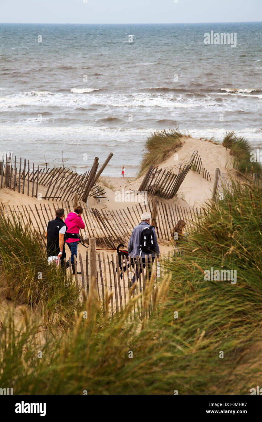 Formby Pinewoods High Resolution Stock Photography and Images - Alamy