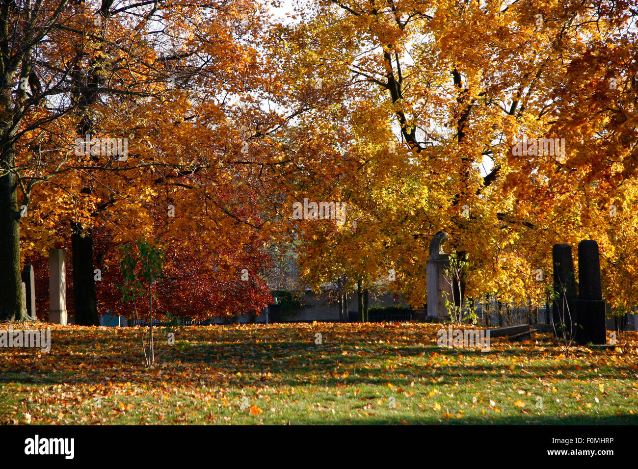 NOVEMBER 2009 - BERLIN: autumn leafs in the Invaliden cemetery in the ...