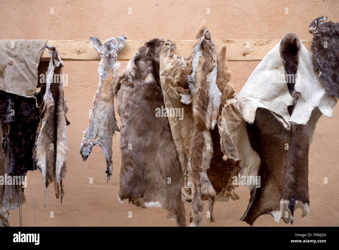 Old tanned hides hi-res stock photography and images - Alamy