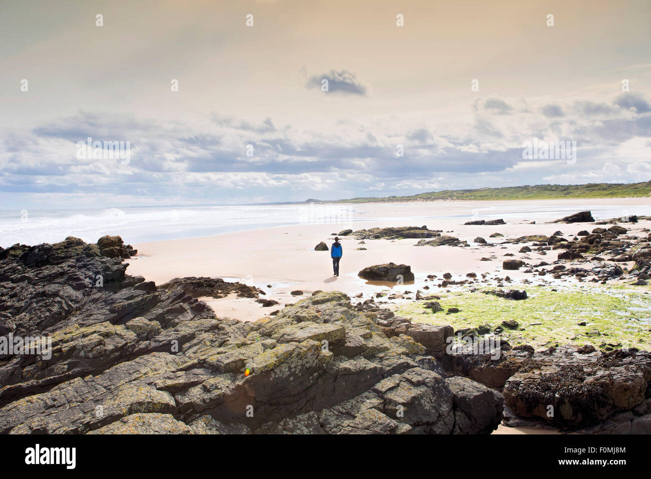A boy standing on a rocky shoreline at Forvie Sands North Sea beach ...