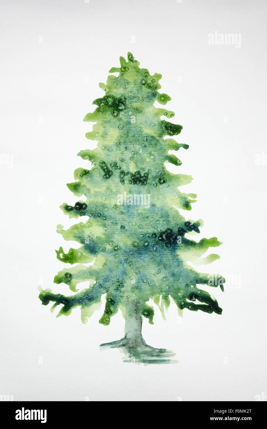 Conifere decorative hi-res stock photography and images - Alamy