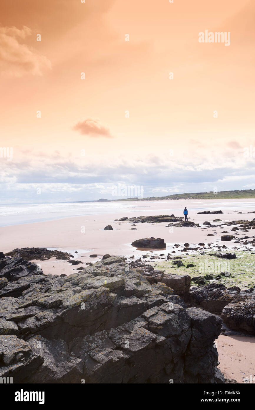 A boy standing on a rocky shoreline at Forvie Sands North Sea beach ...