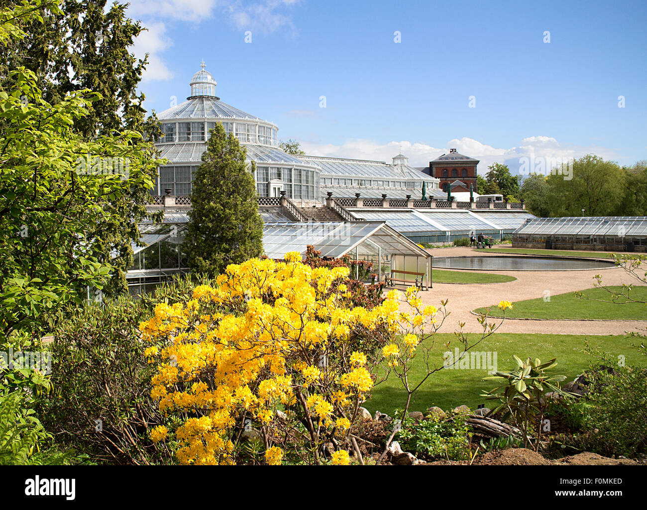 botanic-garden-and-palmhouse-copenhagen-denmark-stock-photo-alamy