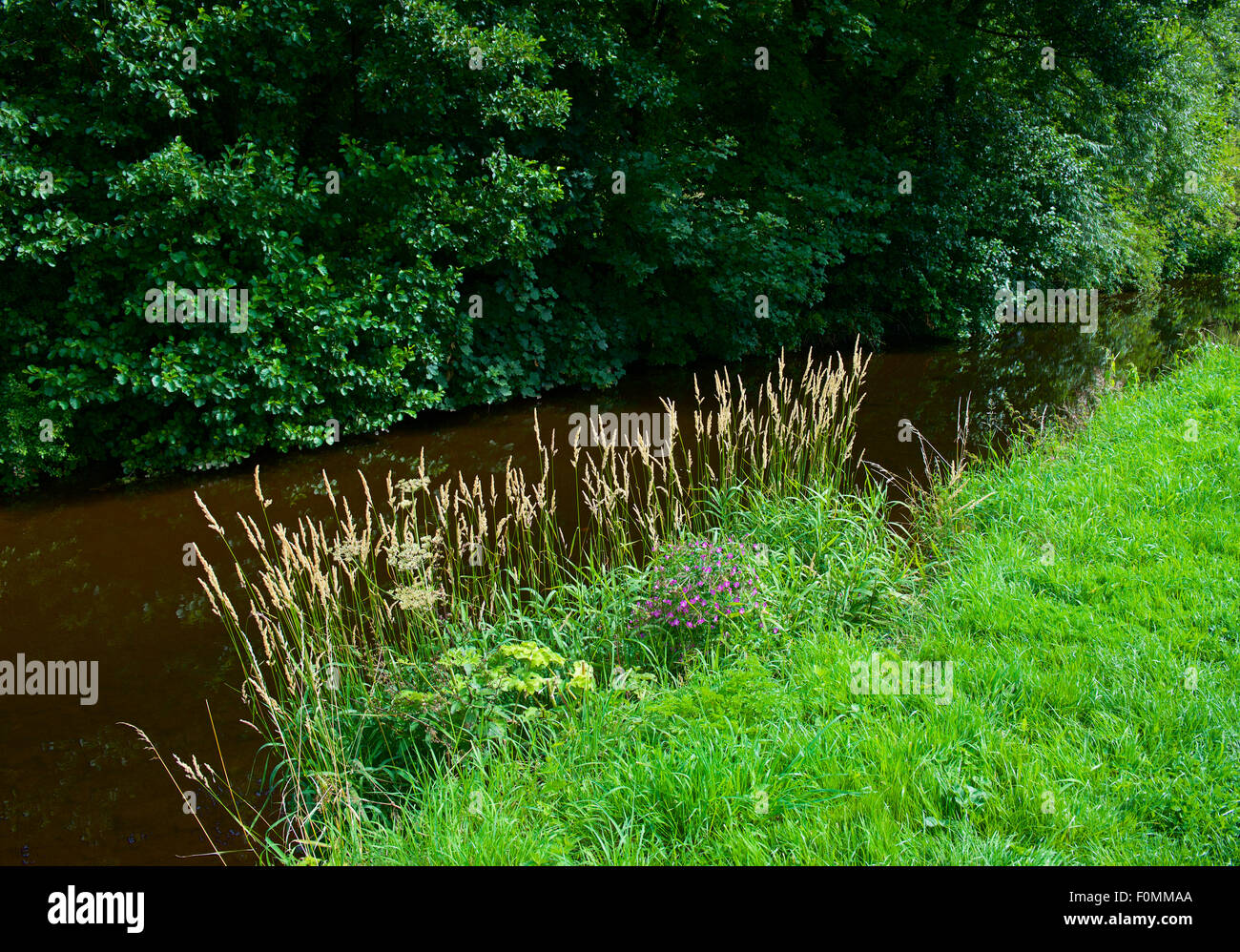 The Monmouthshire and Brecon Canal, near Brecon, Powys, Wales UK Stock ...