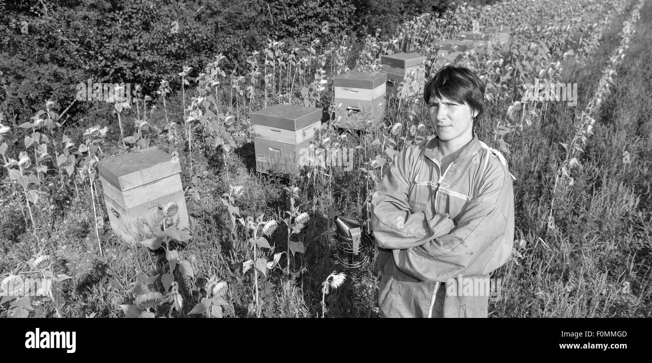 Beekeeper Black and White Stock Photos & Images - Alamy