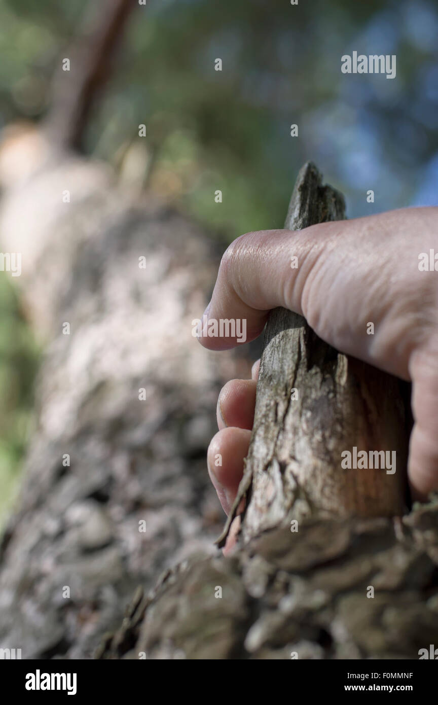 Climbing On Tree Stock Photo - Alamy