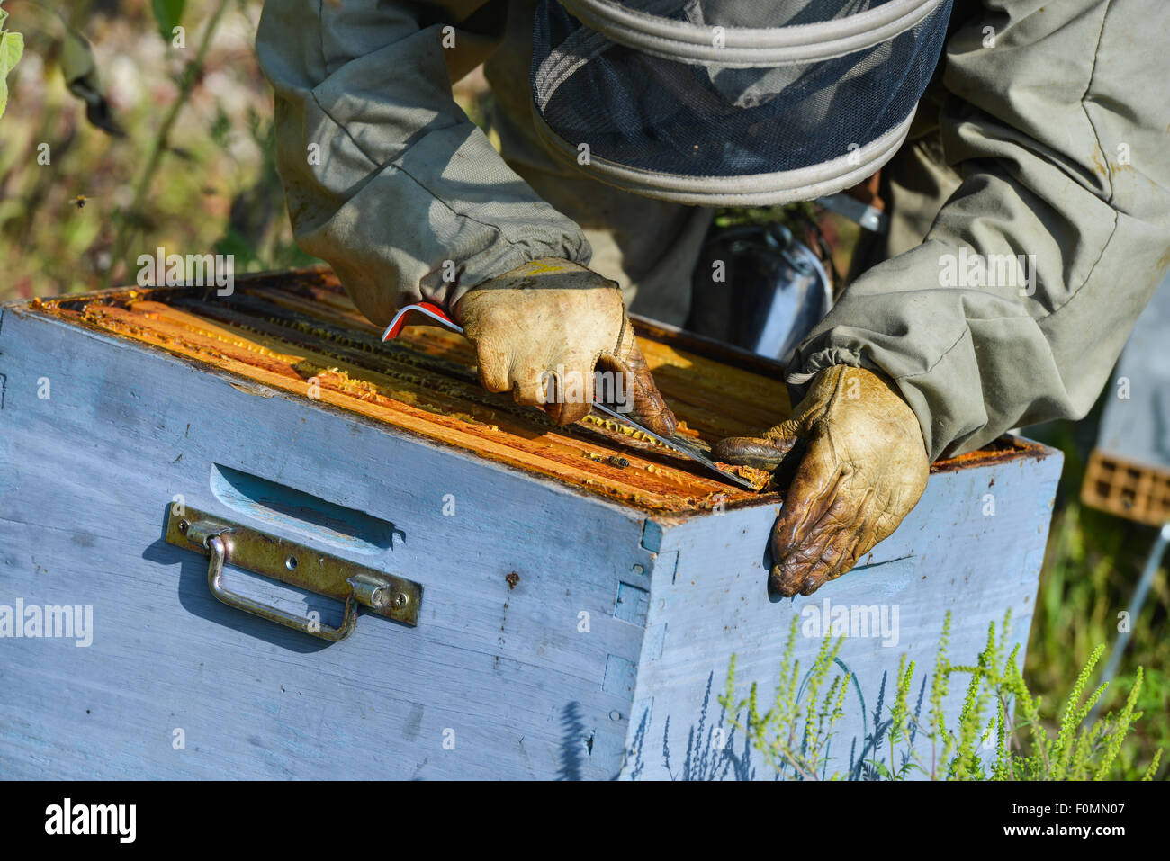 Bee hives hi-res stock photography and images - Alamy