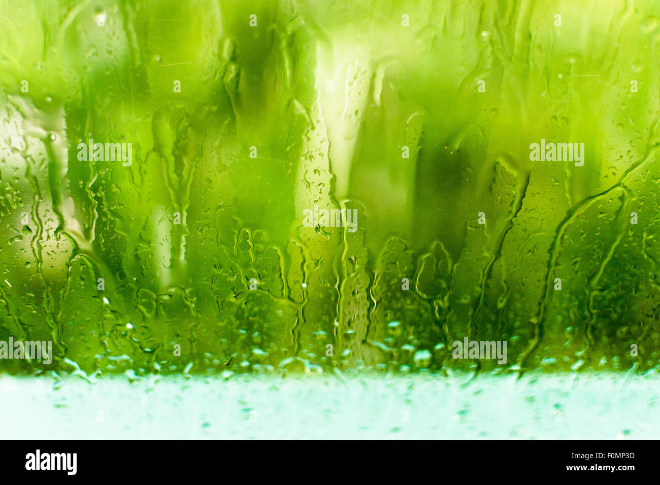Rain droplets run down a window during a rainstorm as green trees sway ...