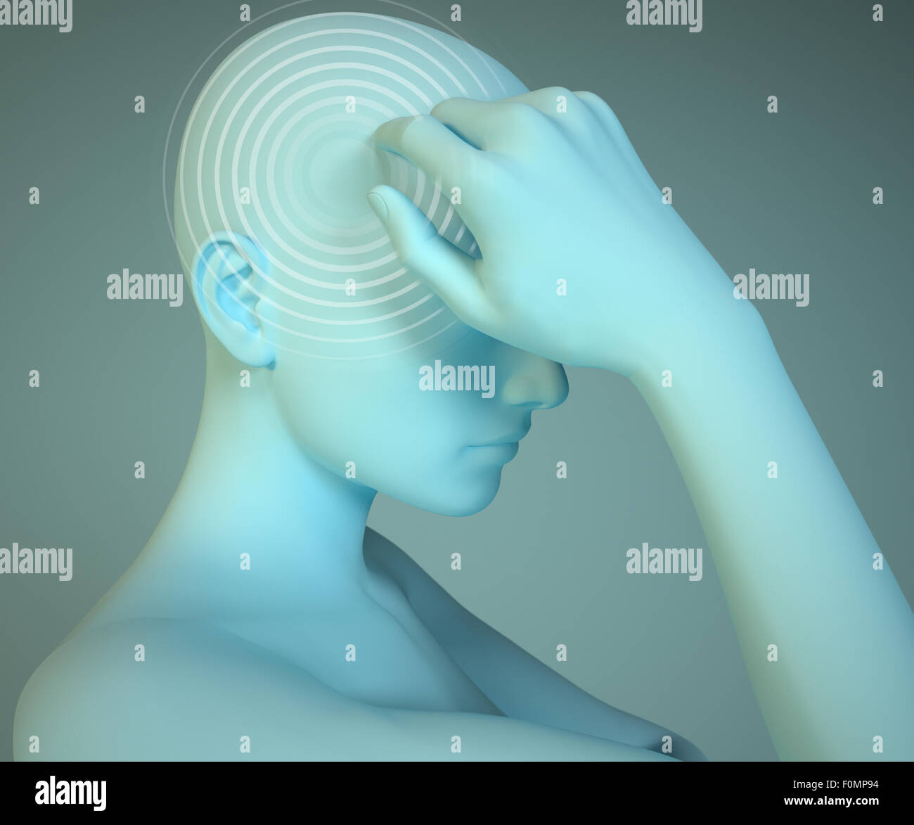 Brain anatomy cortex hi-res stock photography and images - Alamy