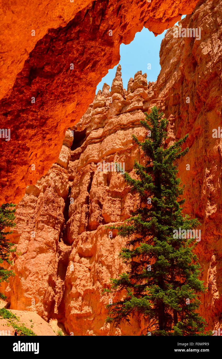 Bryce Canyon National Park, Utah Stock Photo - Alamy