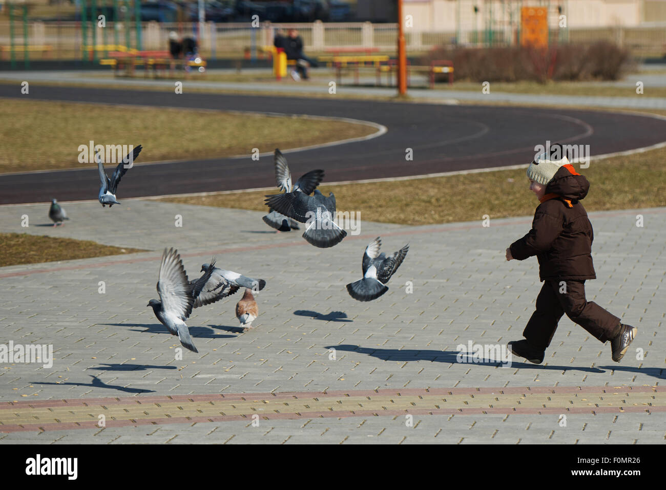 Kid boy catch bird hi-res stock photography and images - Alamy