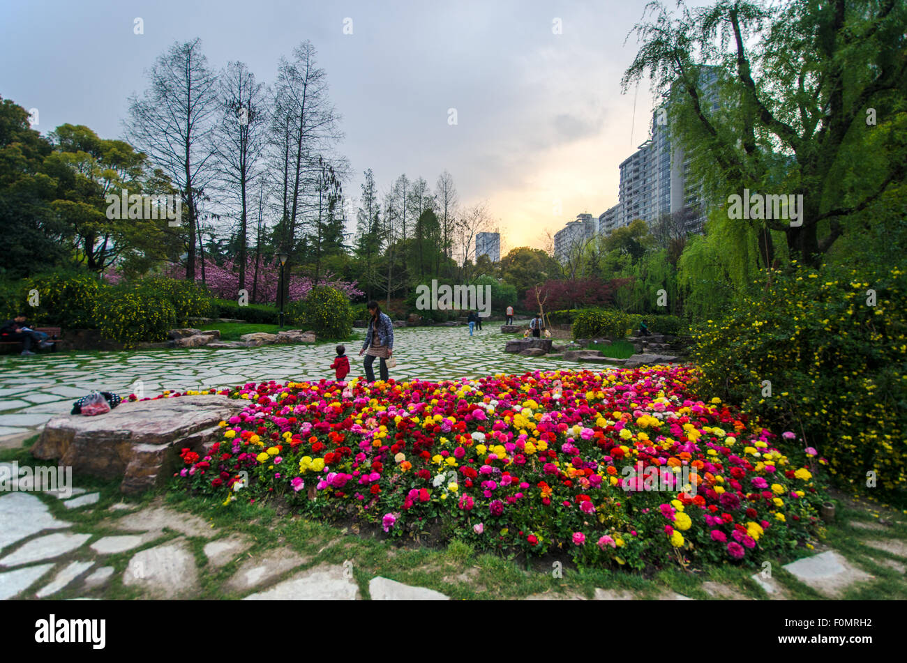 A family enjoying in one of the parks in Shanghai Stock Photo - Alamy
