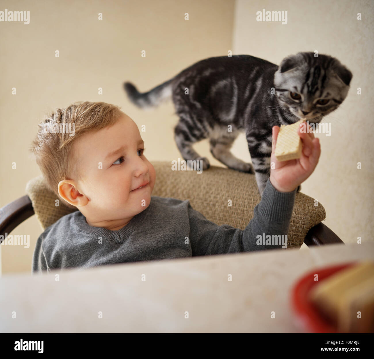 little boy shares food with cat Stock Photo - Alamy