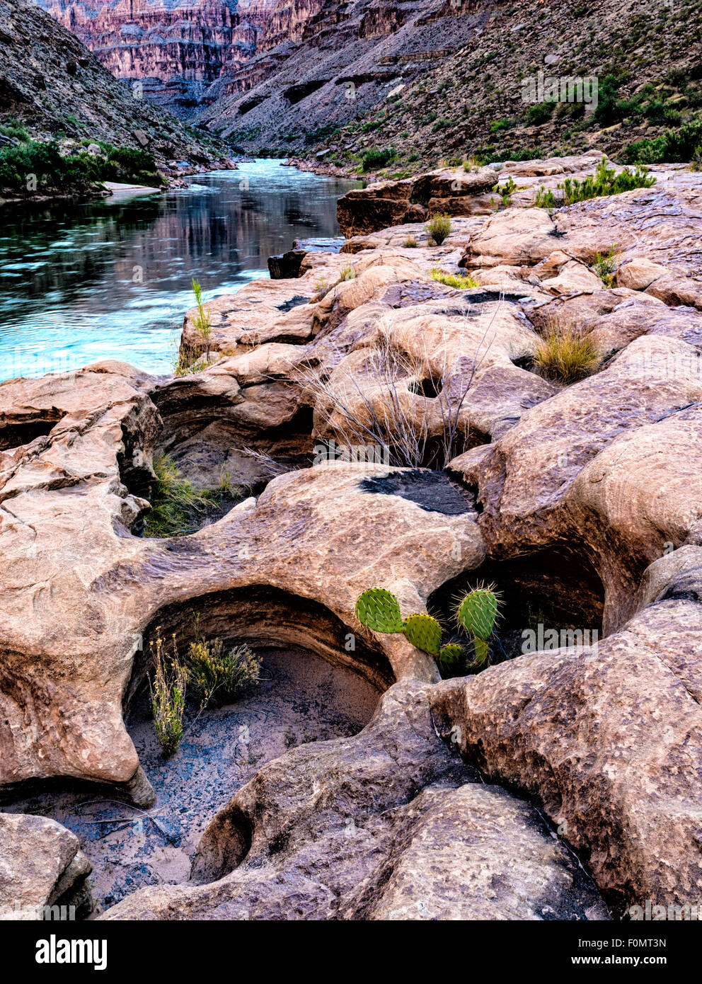 Grand canyon bottom hi-res stock photography and images - Alamy