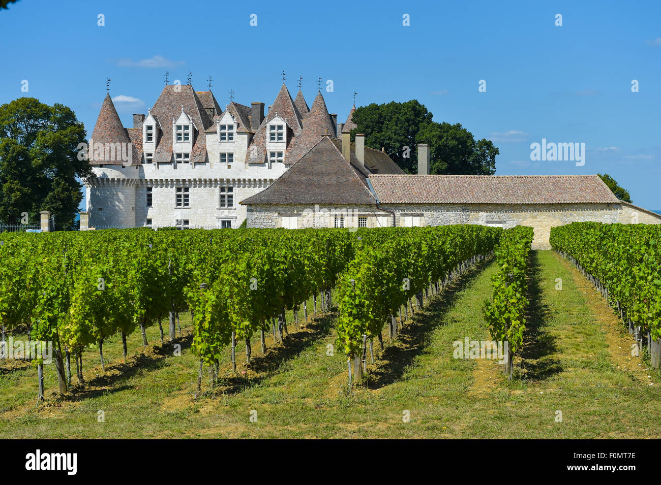 CHATEAU MONBAZILLAC, AOC, MONBAZILLAC, vineyard, BERGERAC DORDOGNE ...