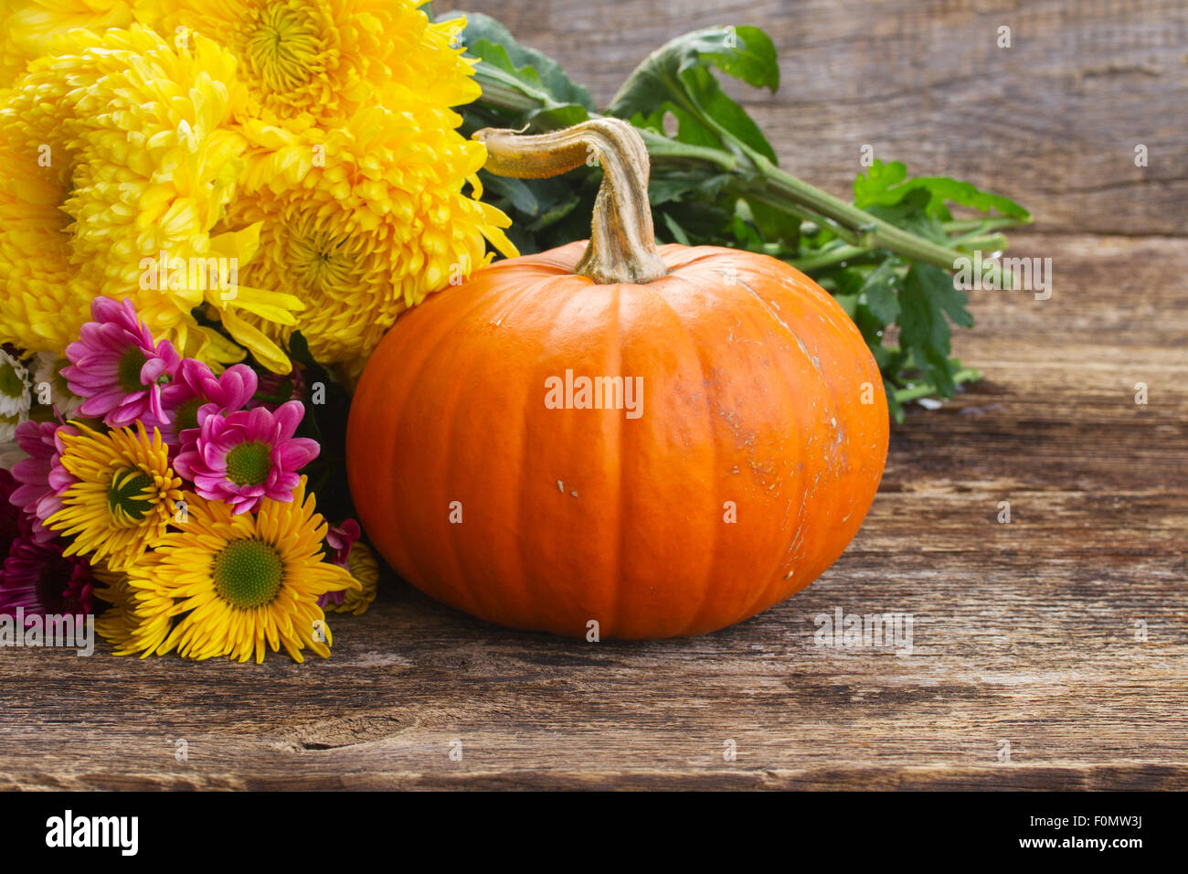 pumpkin on table Stock Photo - Alamy
