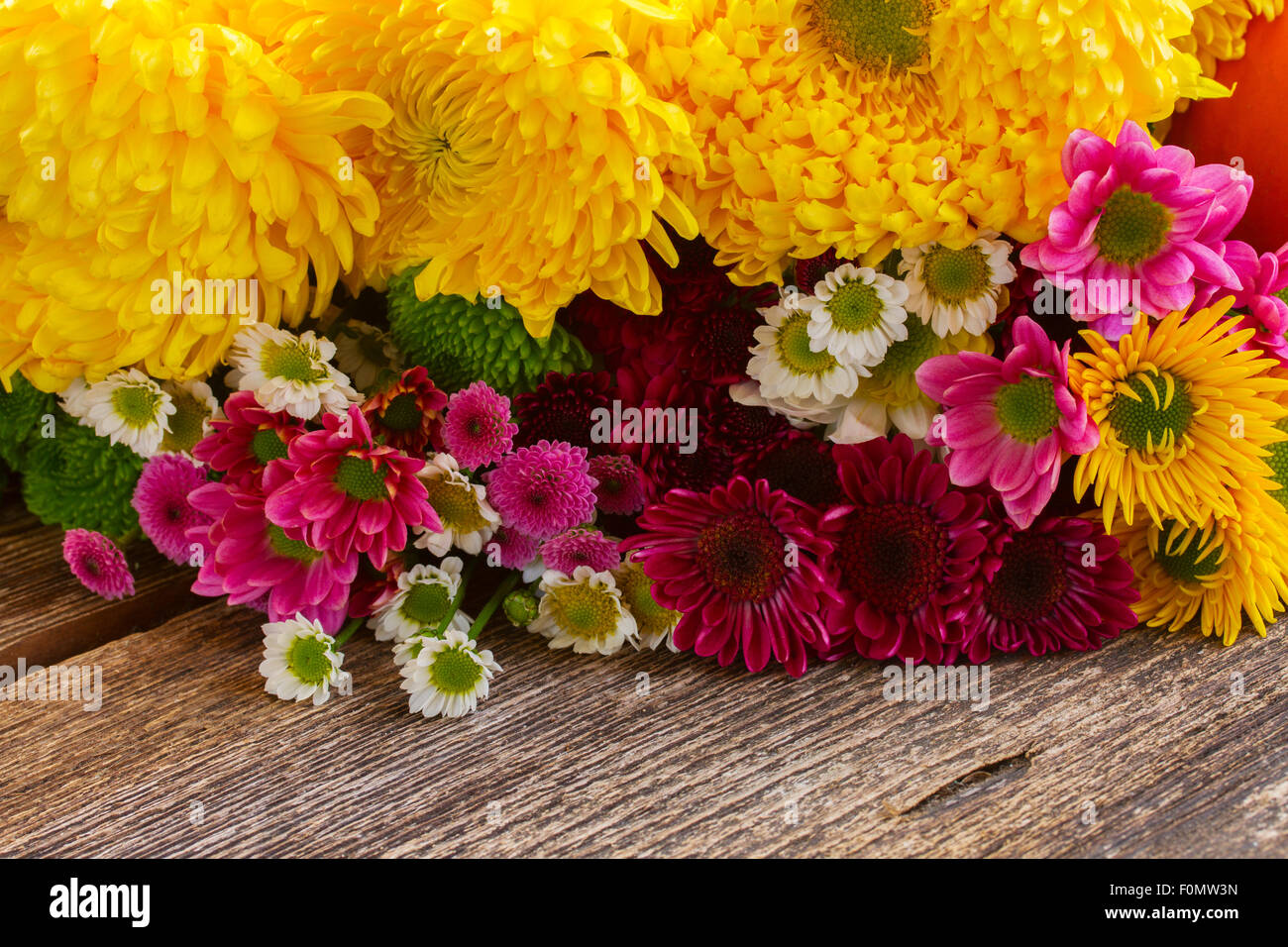 Bunch of mum flowers Stock Photo - Alamy