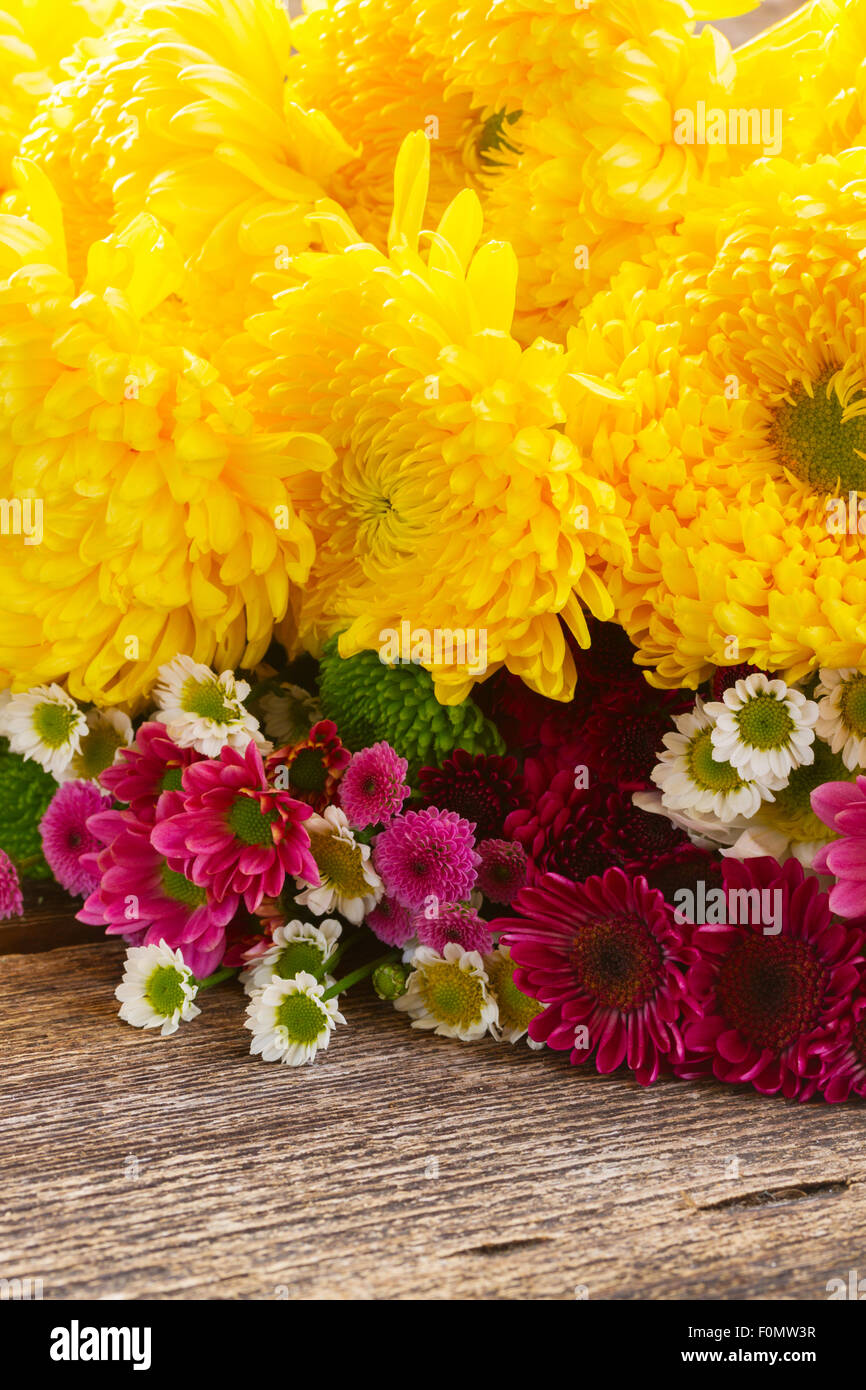 Bunch of mum flowers Stock Photo - Alamy