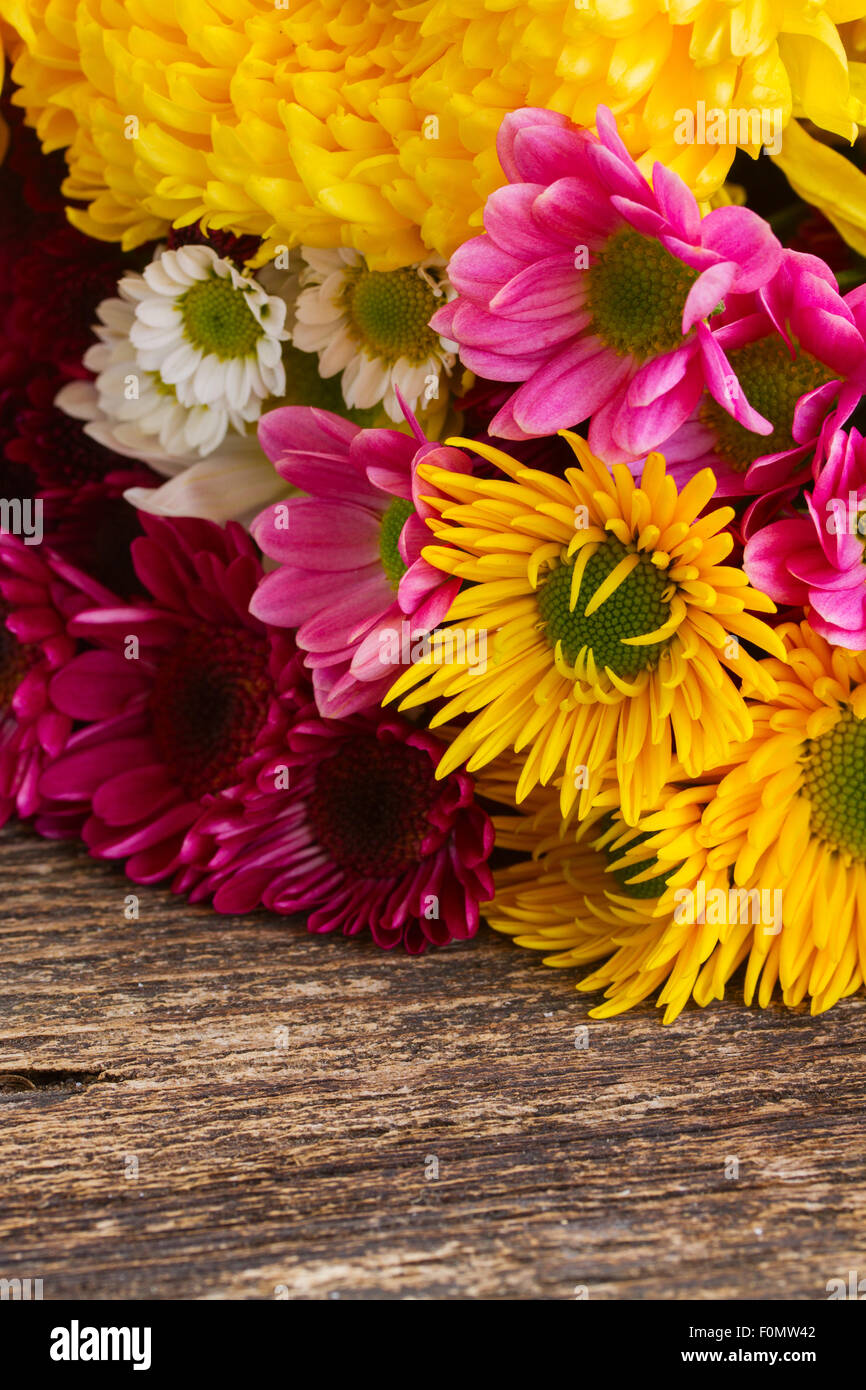 Bunch of mum flowers Stock Photo - Alamy