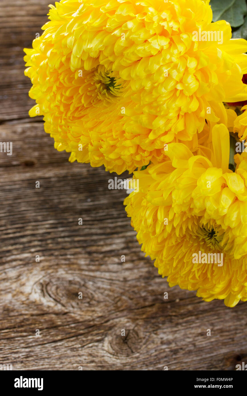 Bunch of mum flowers Stock Photo - Alamy
