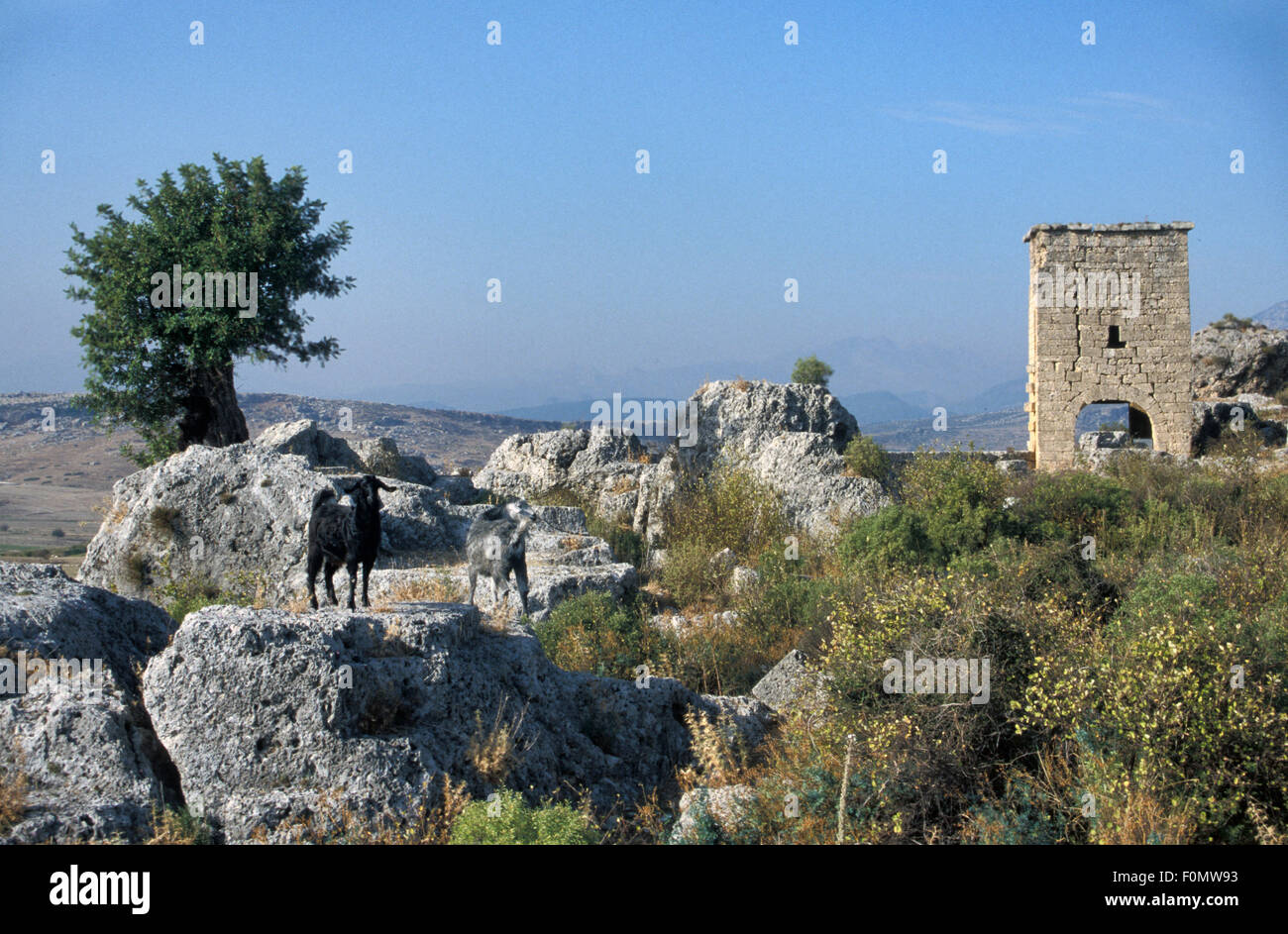 Roman remains of Sillyon in Turkey Stock Photo - Alamy