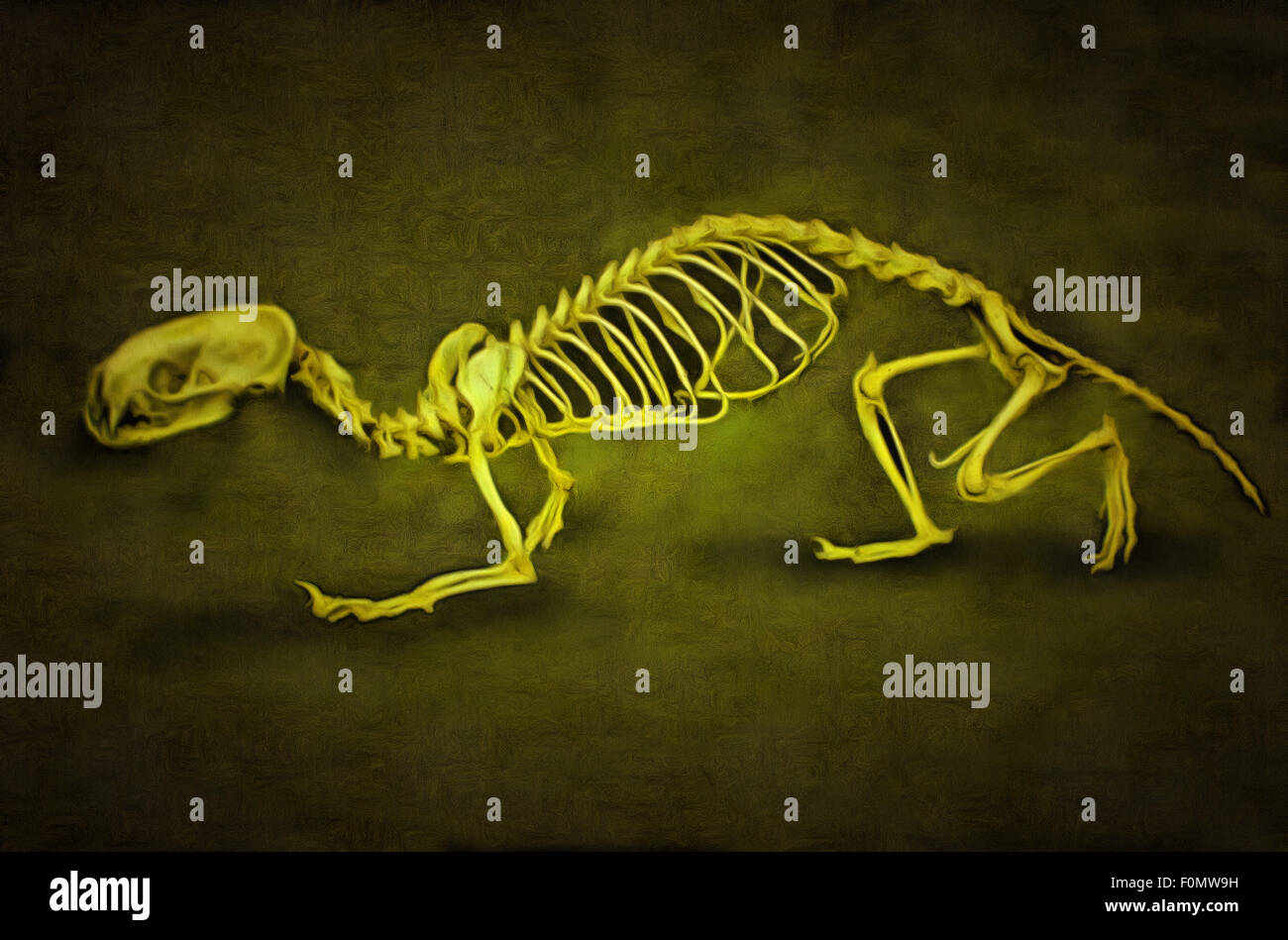 Illustrations Skeleton Stock Photos & Illustrations Skeleton Stock ...