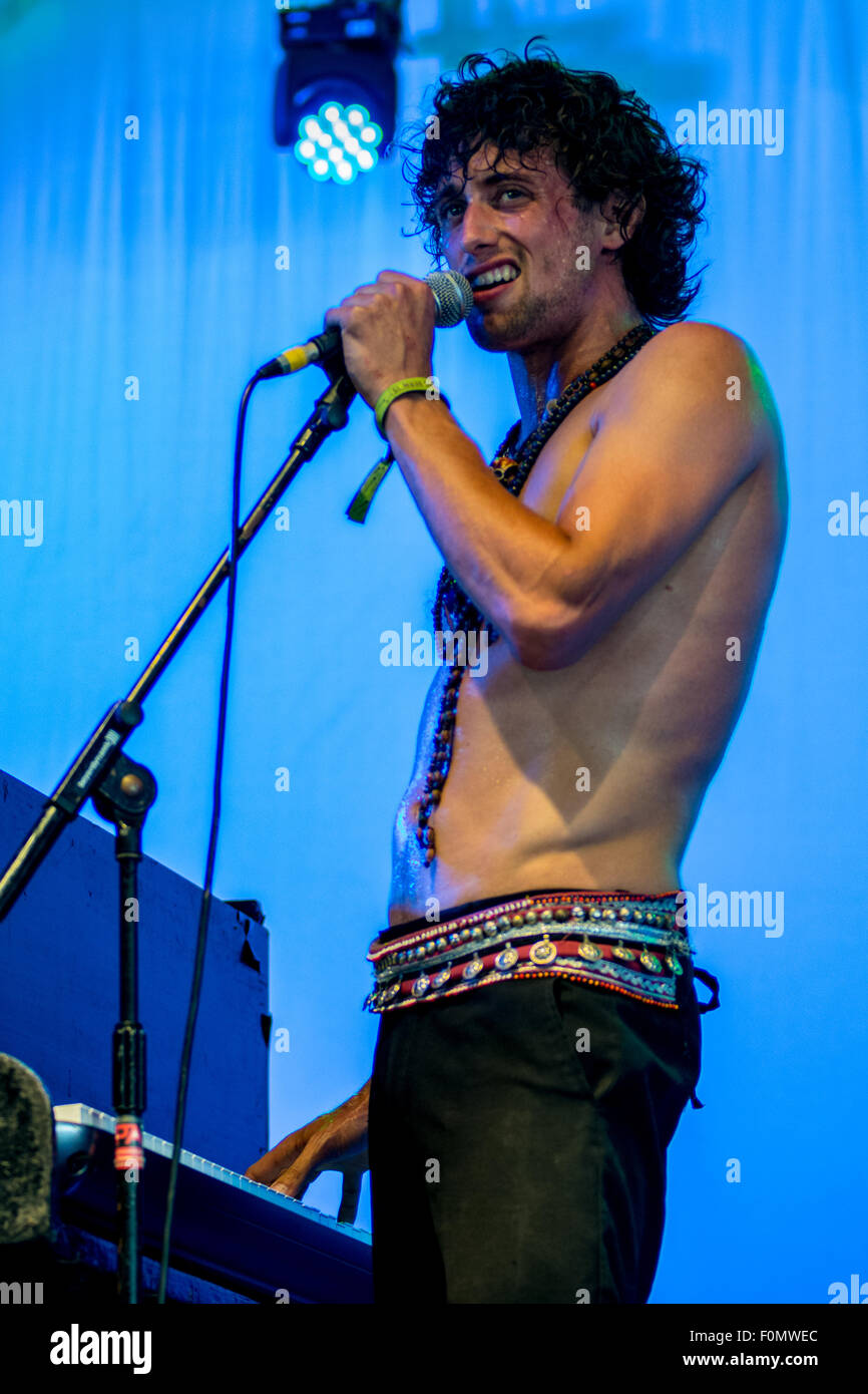Tankus the Henge at Wickham Festival 080815 Stock Photo - Alamy