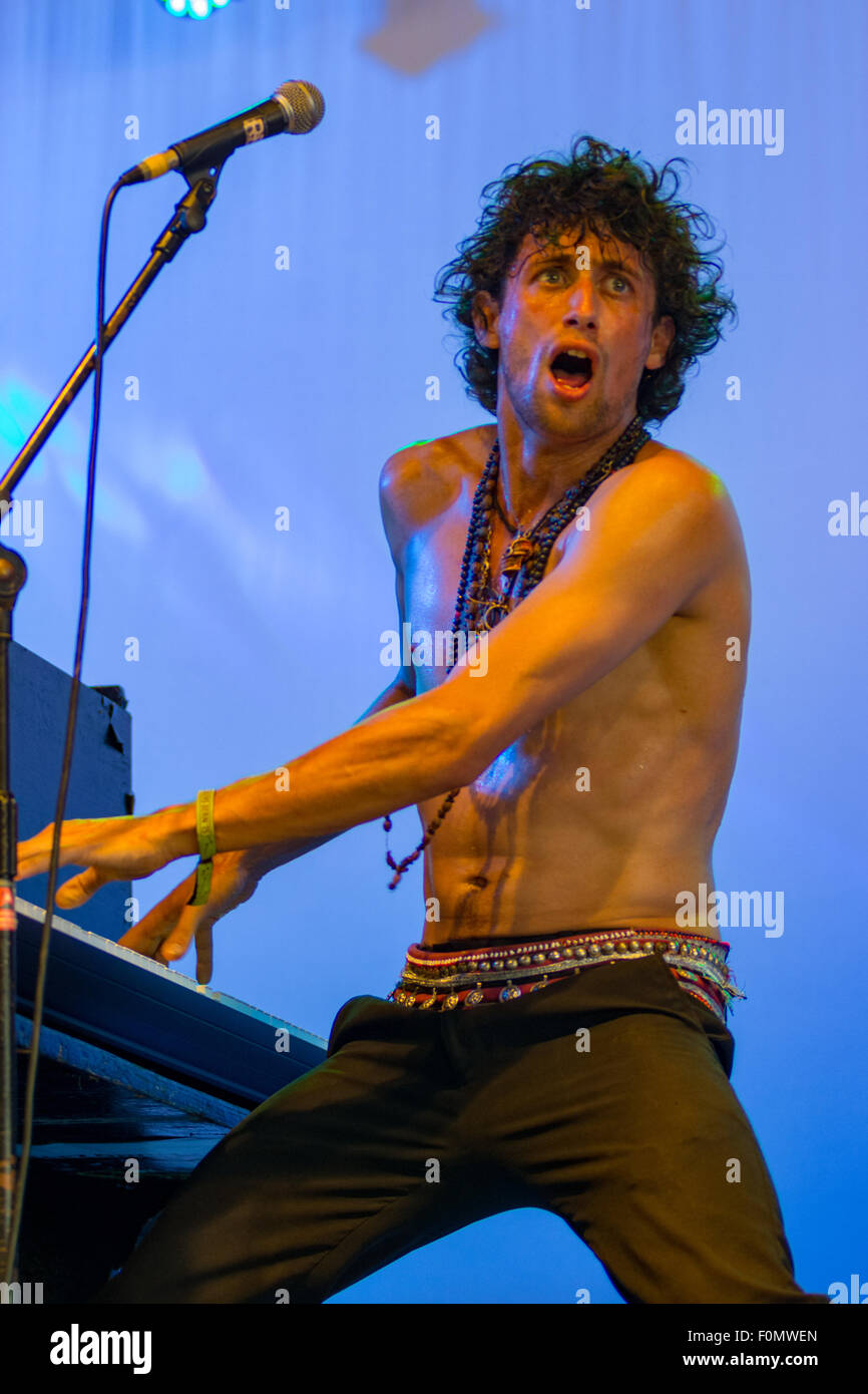 Tankus the Henge at Wickham Festival 080815 Stock Photo - Alamy