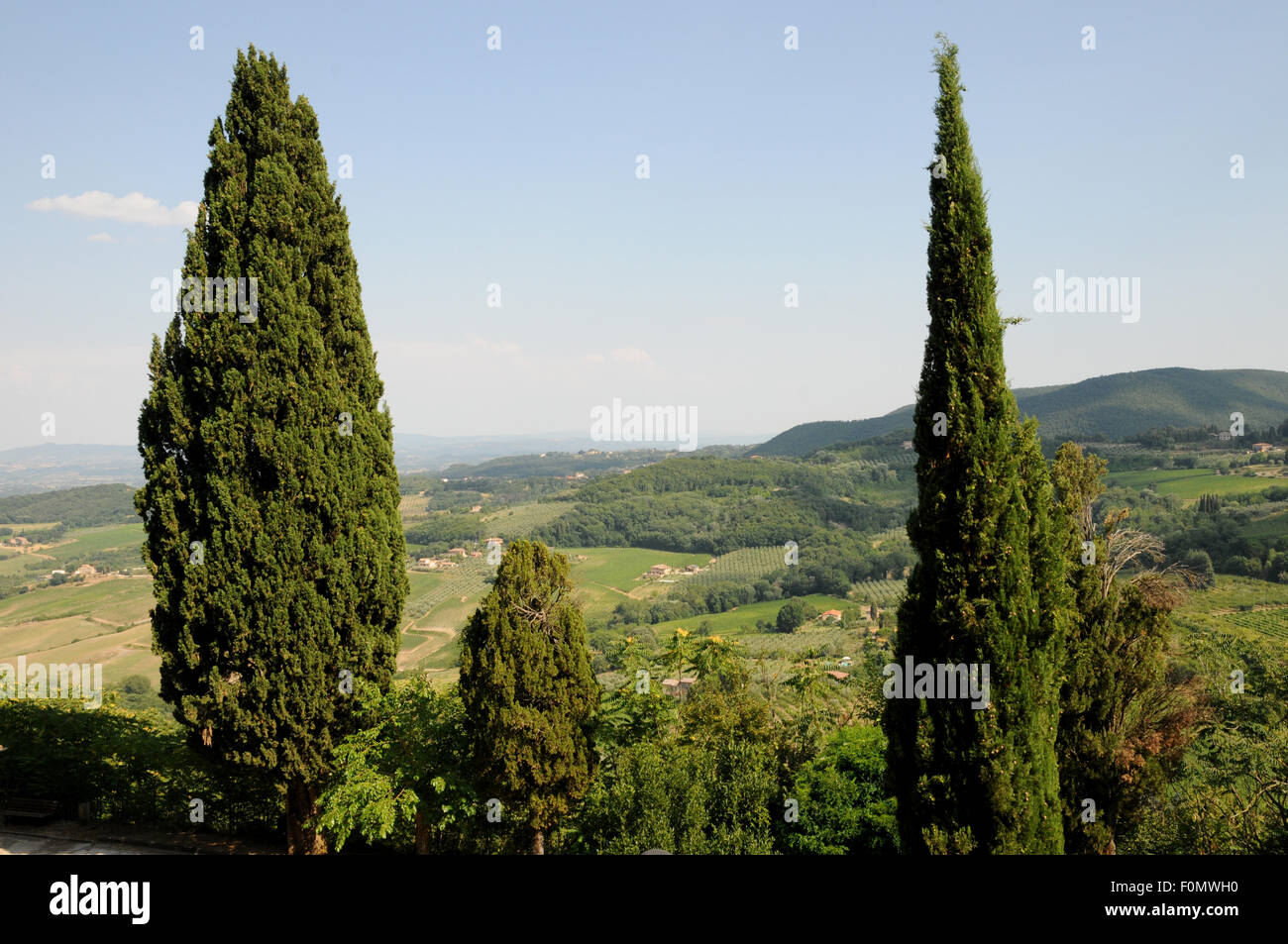Cyprus trees hi-res stock photography and images - Alamy