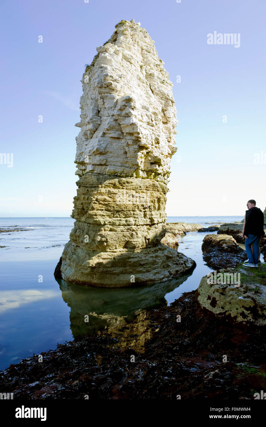 A sea stack Flamborough Head East Yorkshire UK Stock Photo - Alamy
