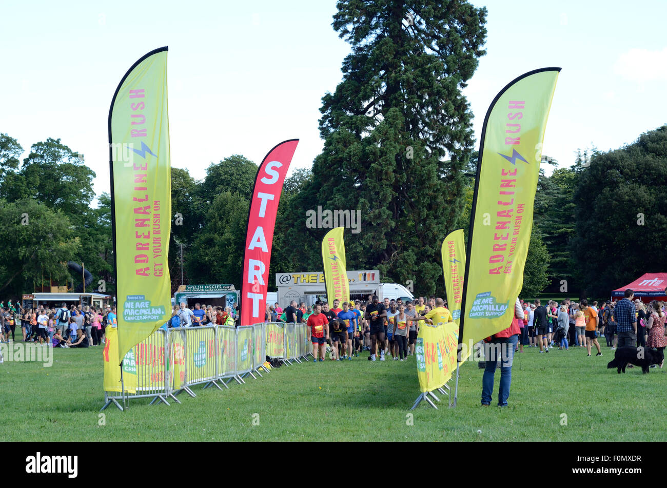 Adrenaline Rush Race Bristol England 2015 Stock Photo - Alamy