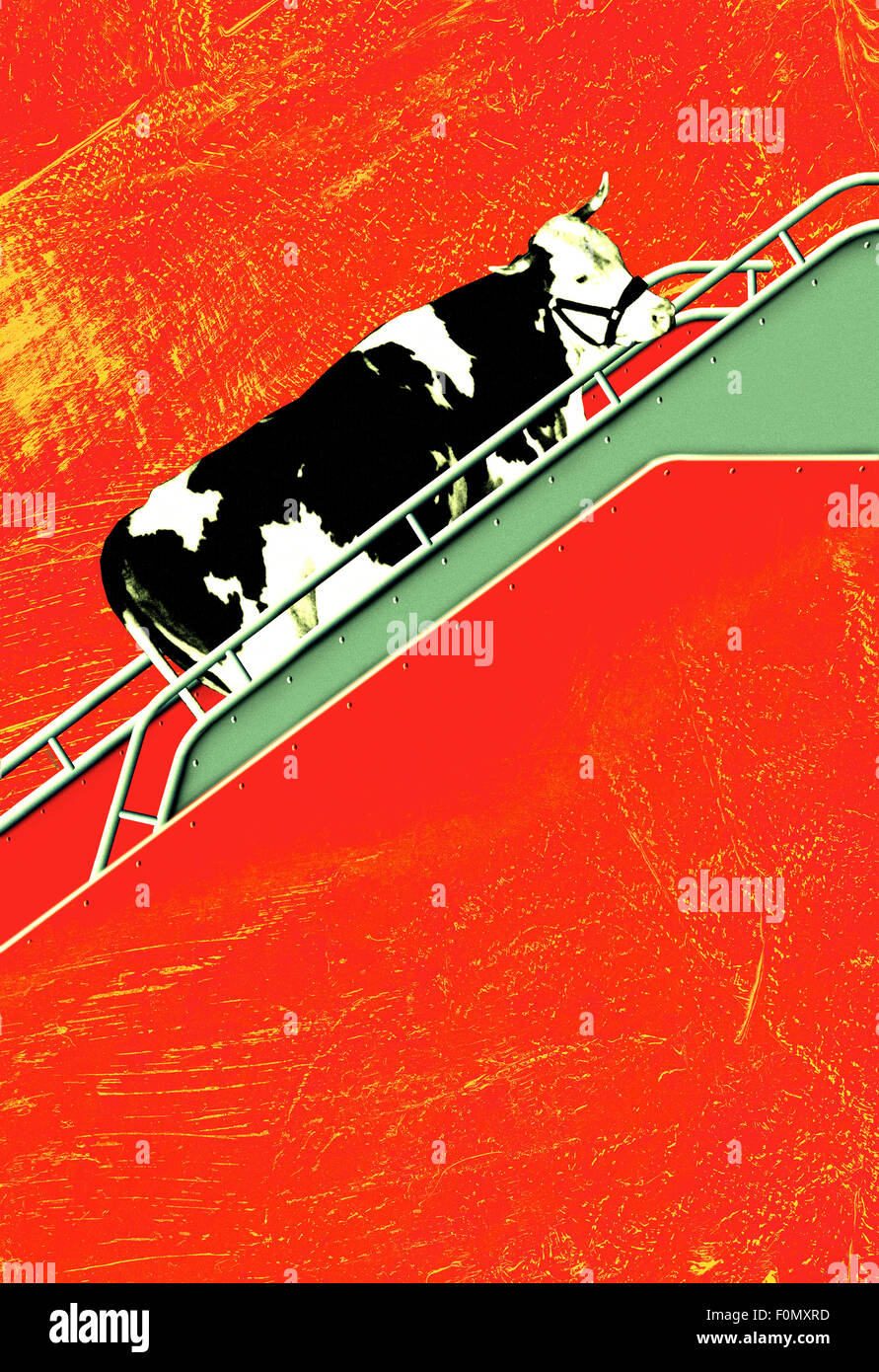 illustration of a smiling cow going on a journey on orange Background ...