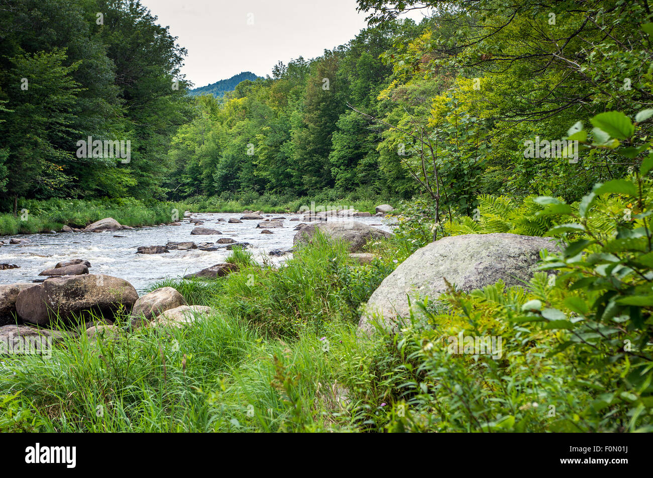 AuSable River from the Wilmington Flume Trail Stock Photo - Alamy
