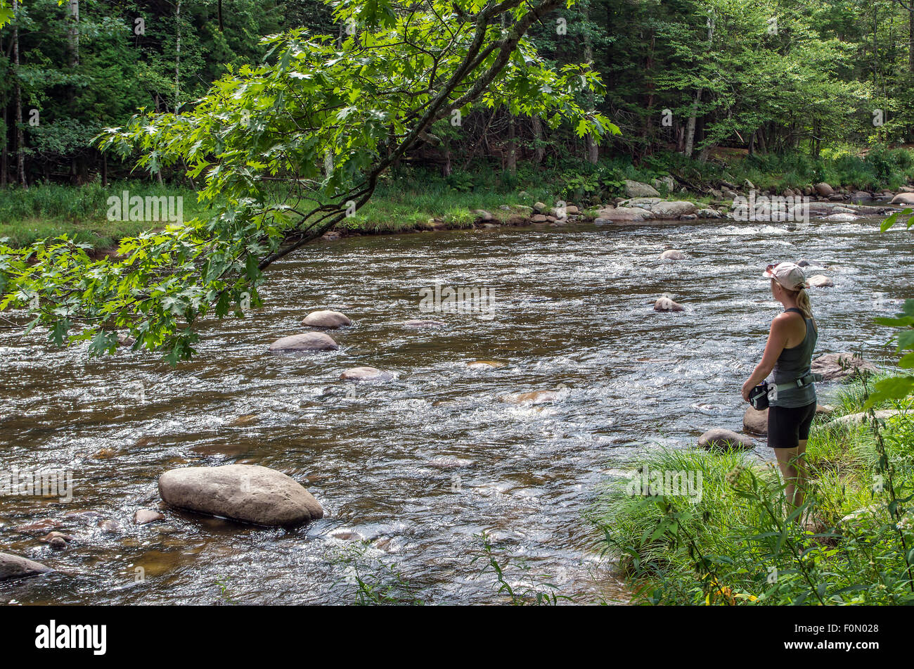Woman overlooking the AuSable River on the Wilmington Flume Trail Stock ...