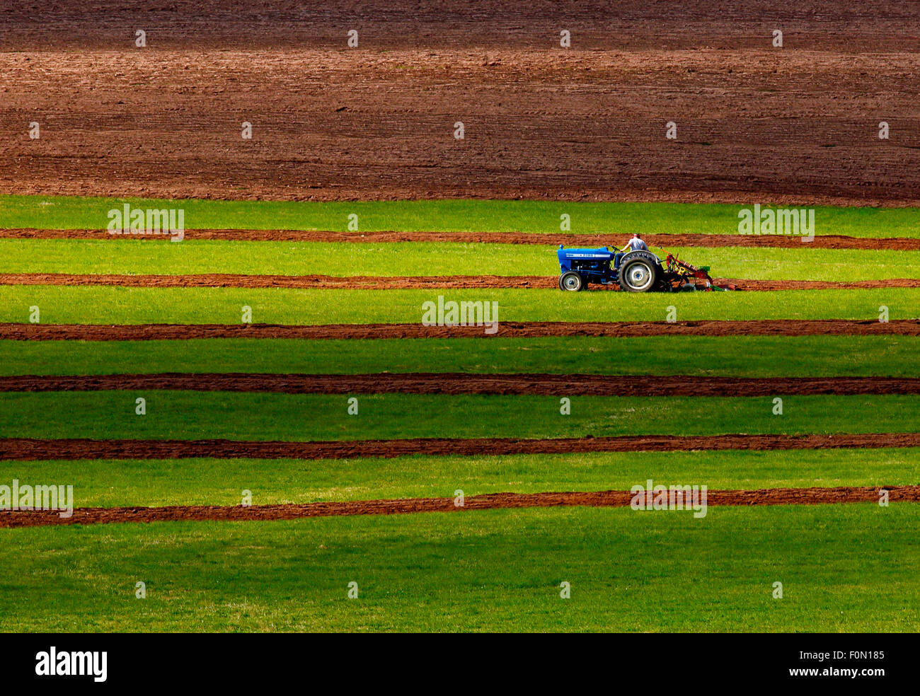 A competitor in the tractor plowing class at the 2014 New Brunswick ...