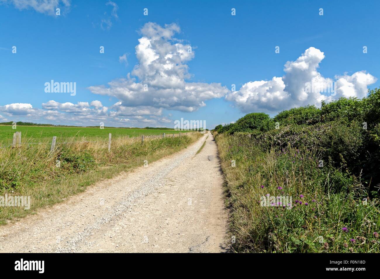 Jurassic way footpath hi-res stock photography and images - Alamy