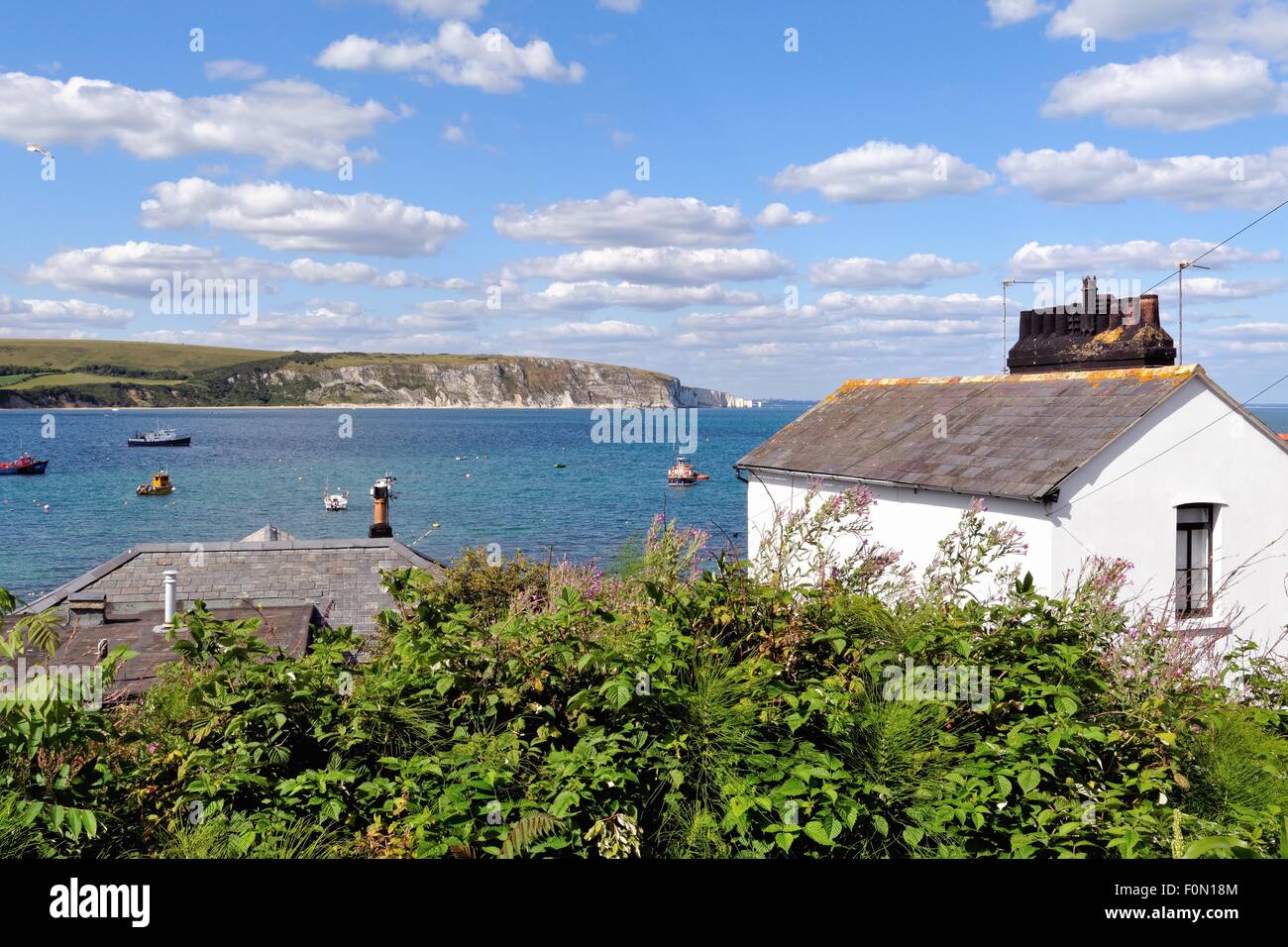 Swanage bay and coastline Dorset UK Stock Photo - Alamy