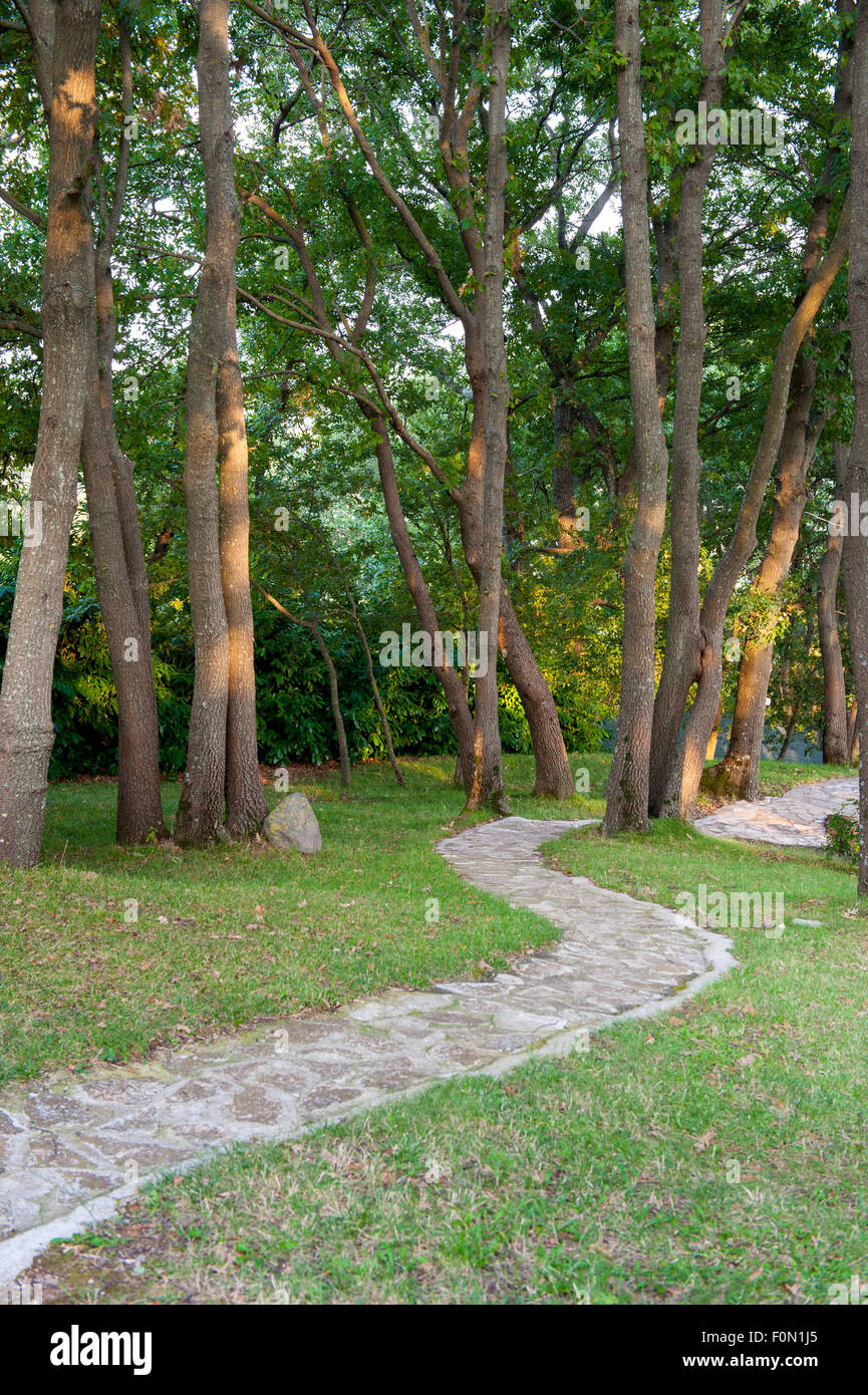Stone path in garden with round between green trees, vertical Stock ...