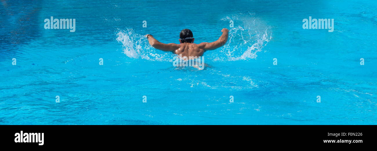 Masculine man swimming in the pool alone.Butterfly style. Summer ...