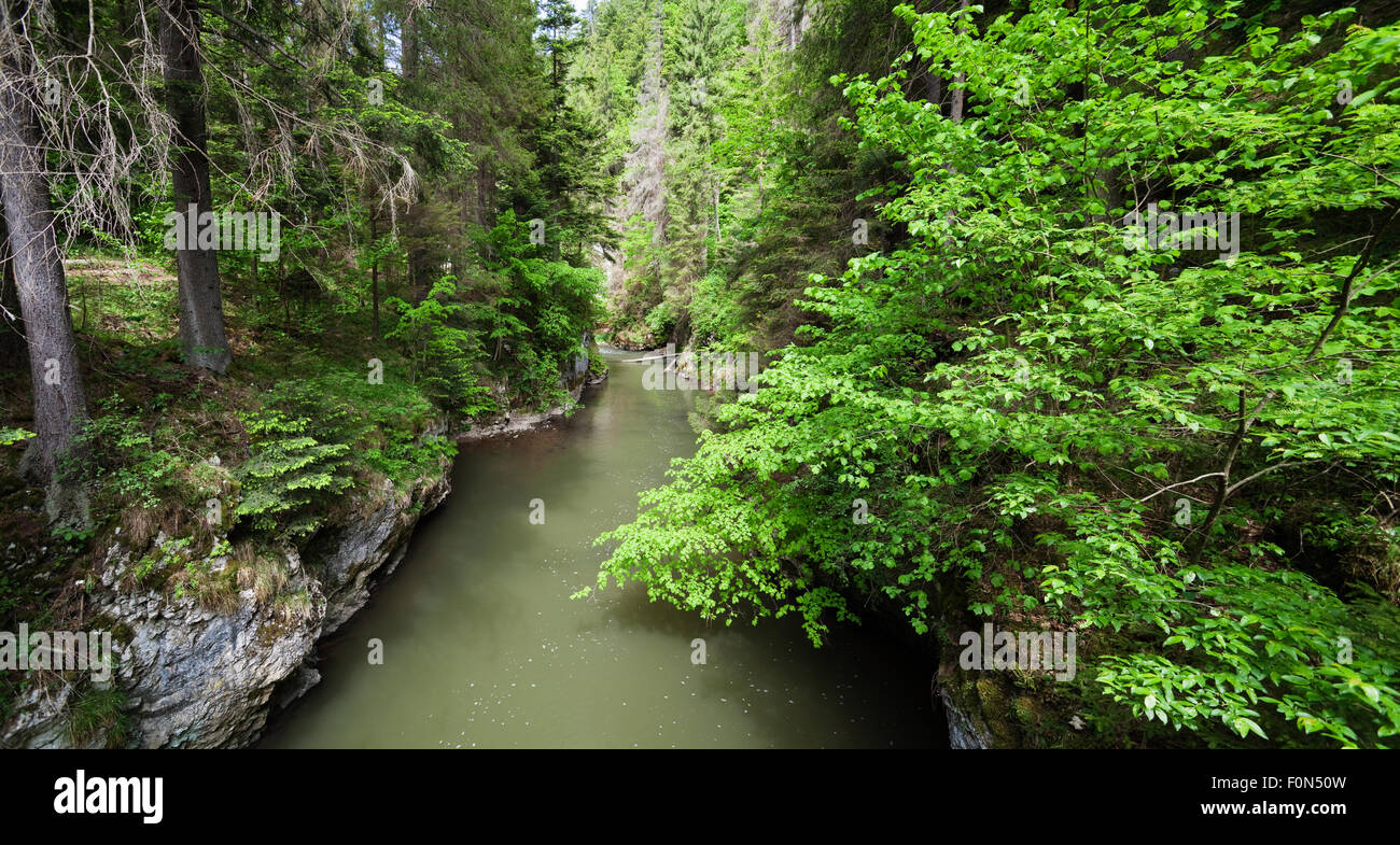 Hornad River flowing through the Hornad Canyon, Slovak Paradise ...