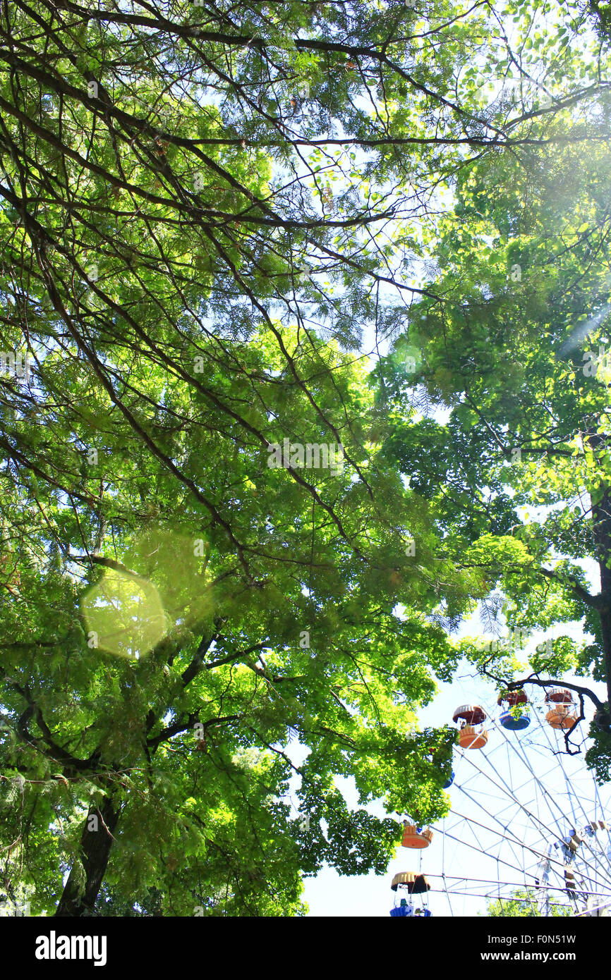 ferris wheel in the park with trees Stock Photo - Alamy