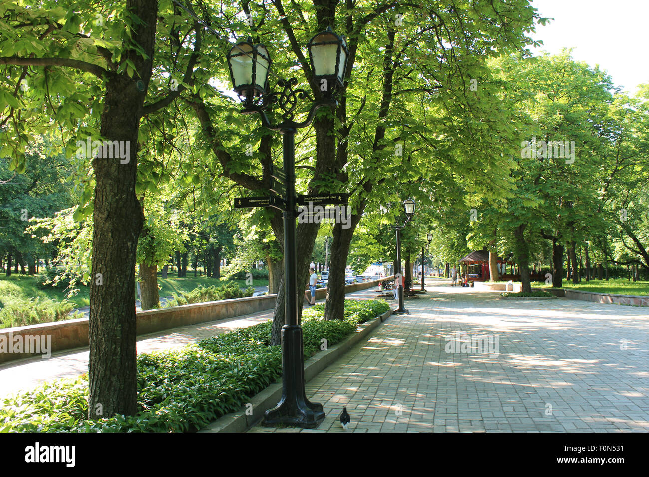 image of people having a rest in park with greater trees Stock Photo ...