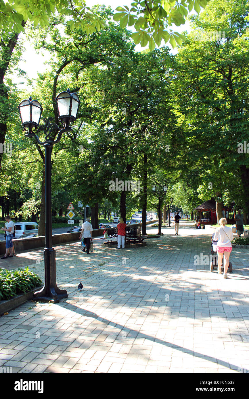 image of people having a rest in park with greater trees Stock Photo ...