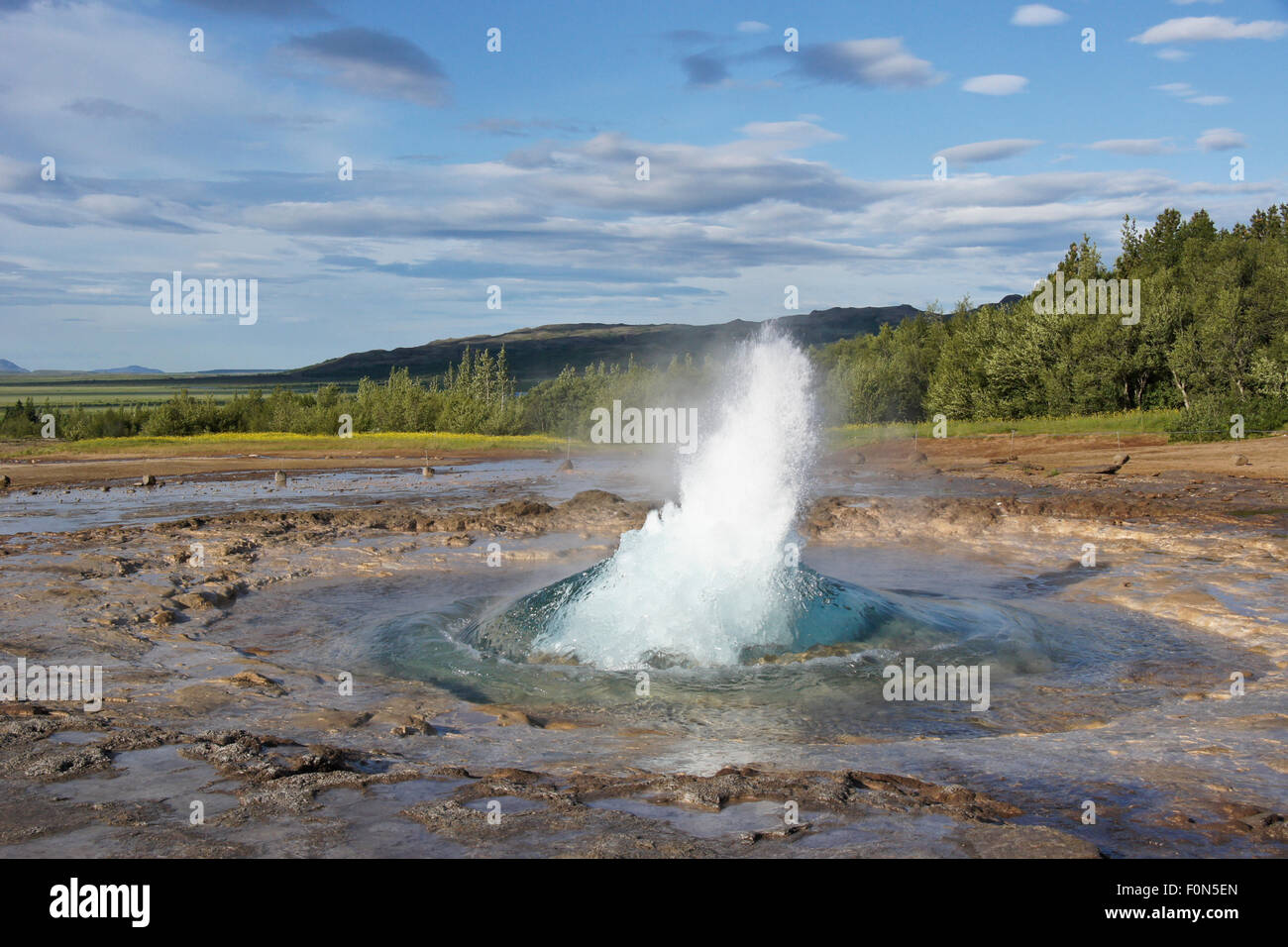 Strokkur Geyser erupting from blue bubble, Geysir, Iceland Stock Photo ...