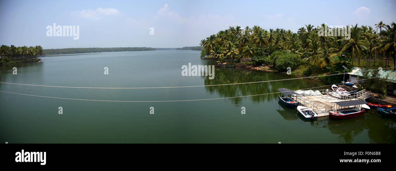 Coco trees reflection at back waters of Kerala, India Stock Photo - Alamy